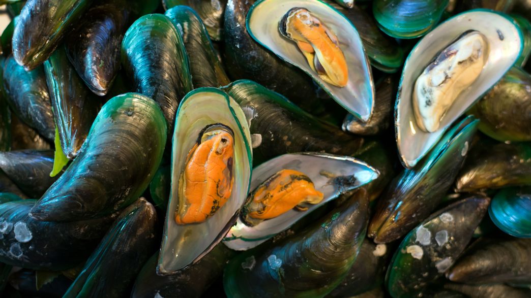 Shellfish In The US Test Positive For Opioids | IFLScience