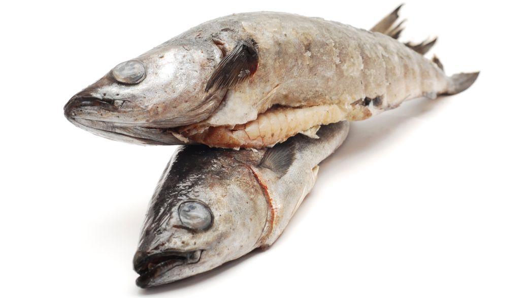 Rotting Fish Display Bursts Into Flames At London Gallery, Delays ...