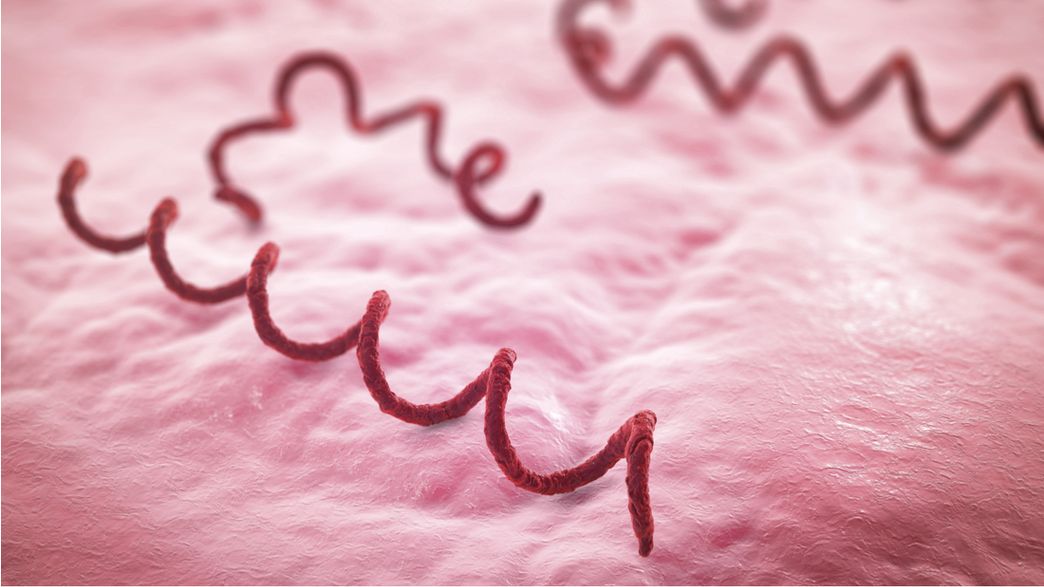 Researchers Are The Closest We’ve Ever Been To Creating The World’s ...