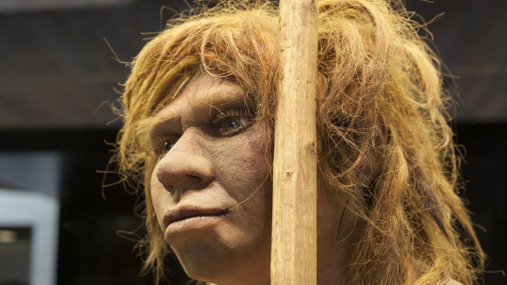 Scientists Are Growing Neanderthal Brains In A Lab | IFLScience