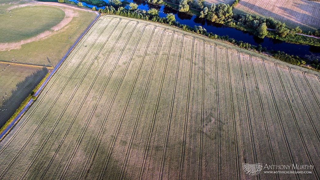 A Drought In Ireland Just Revealed Something Astonishing In This Field ...