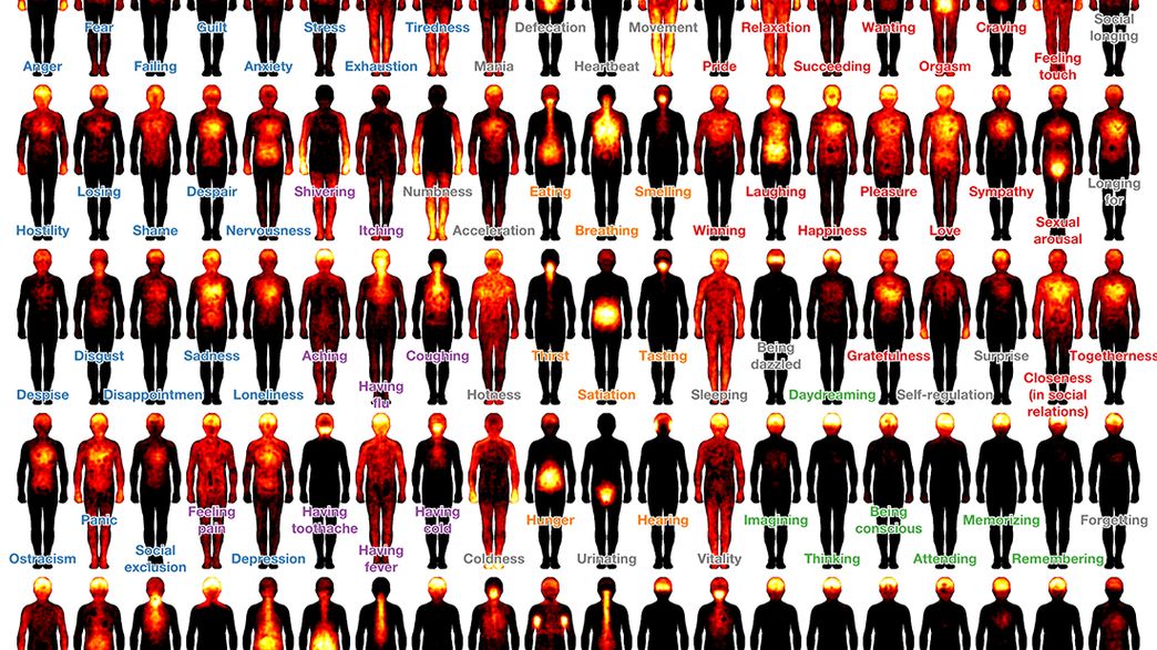 This Is What Your Feelings Look Like, According To Science | IFLScience