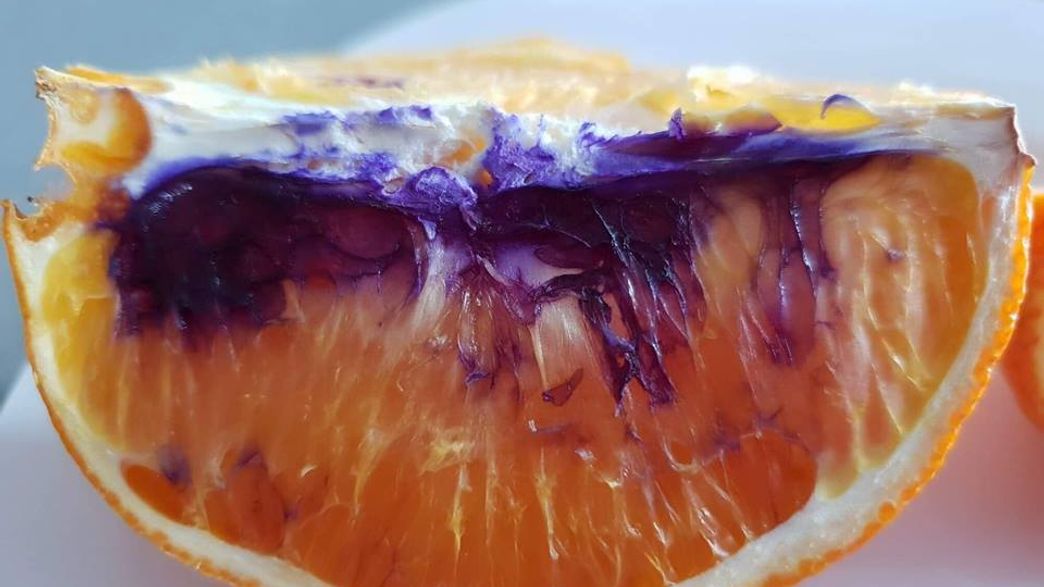 This Orange Turned Purple When Sliced, And Scientists Have No Idea Why ...