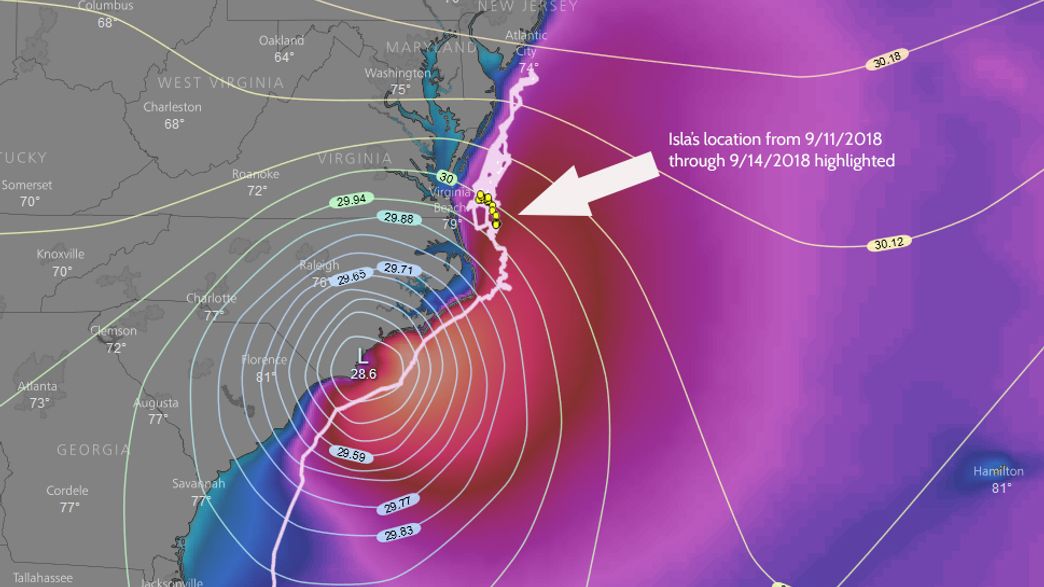 Scientists Track Leatherback Turtle Through Hurricane Florence To See ...