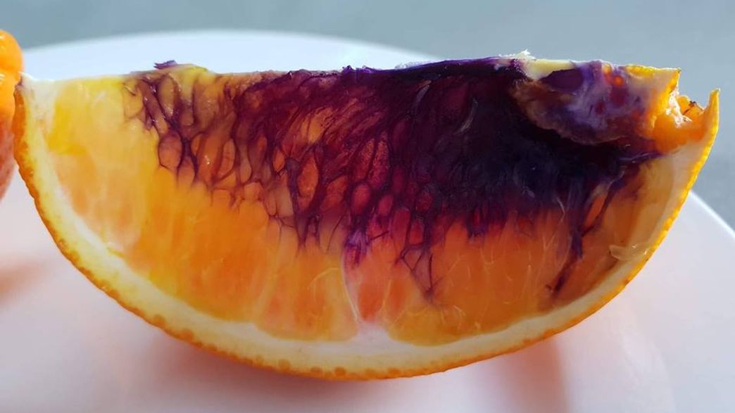 Scientists Solve The Mystery Of The Orange That Turned Purple | IFLScience