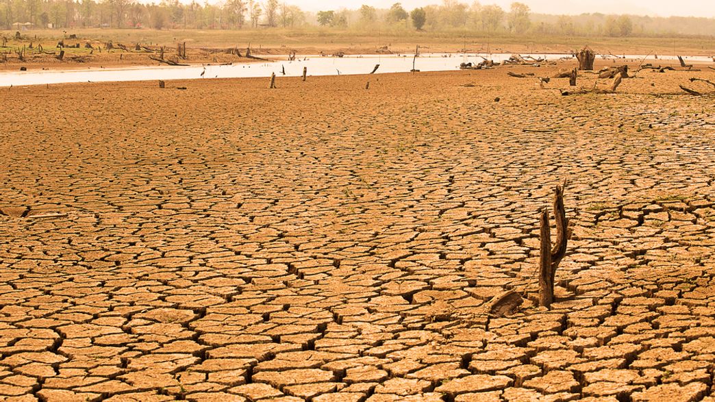 Fighting Climate Change Is Not Hopeless – And Here's What You Can Do To ...