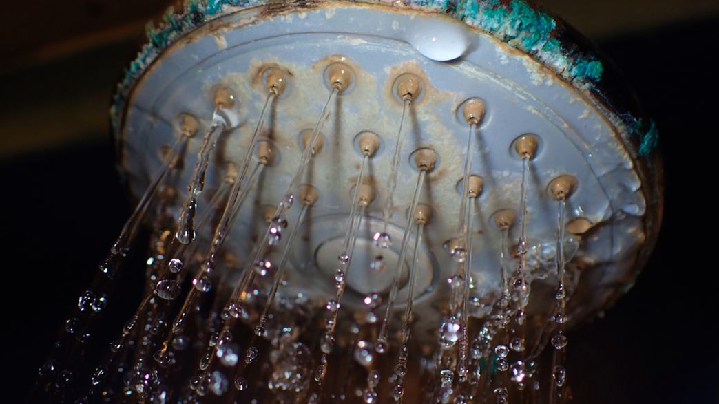 That Slime Gathering On Your Showerhead Might Actually Be Pretty ...