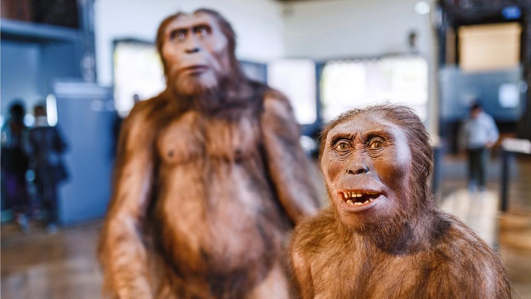 Why Don't Humans Have Fur? | IFLScience