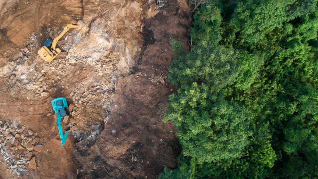 1,700 Animal Species Face Greater Extinction Risk By 2070 Because Of ...