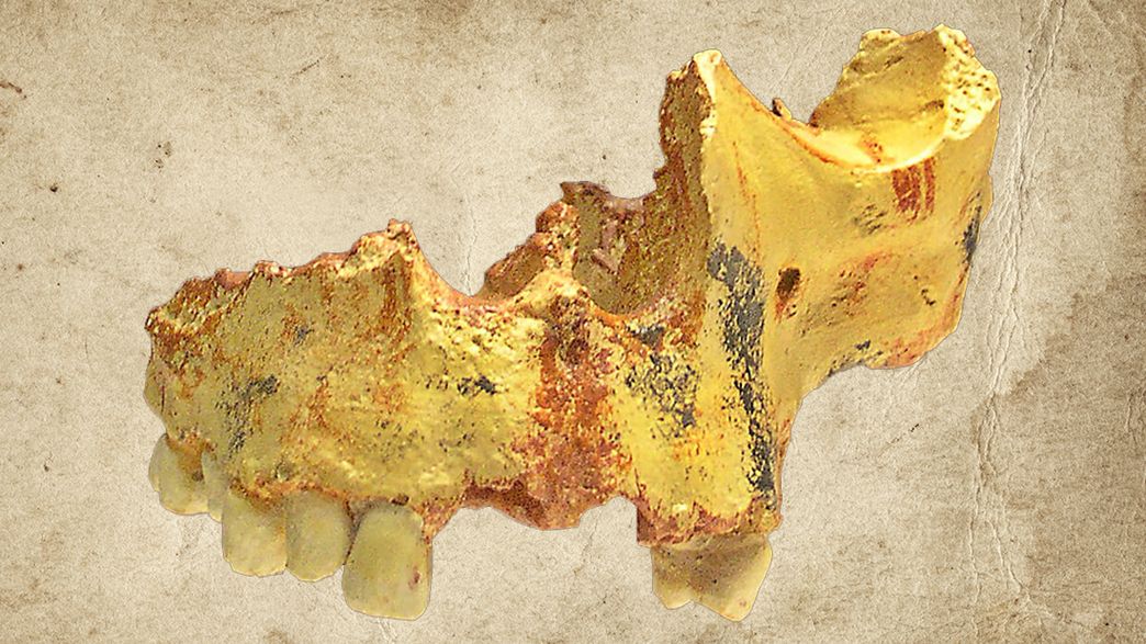 Our Ancient Human Ancestors Were Cannibals Because It Was Surprisingly ...