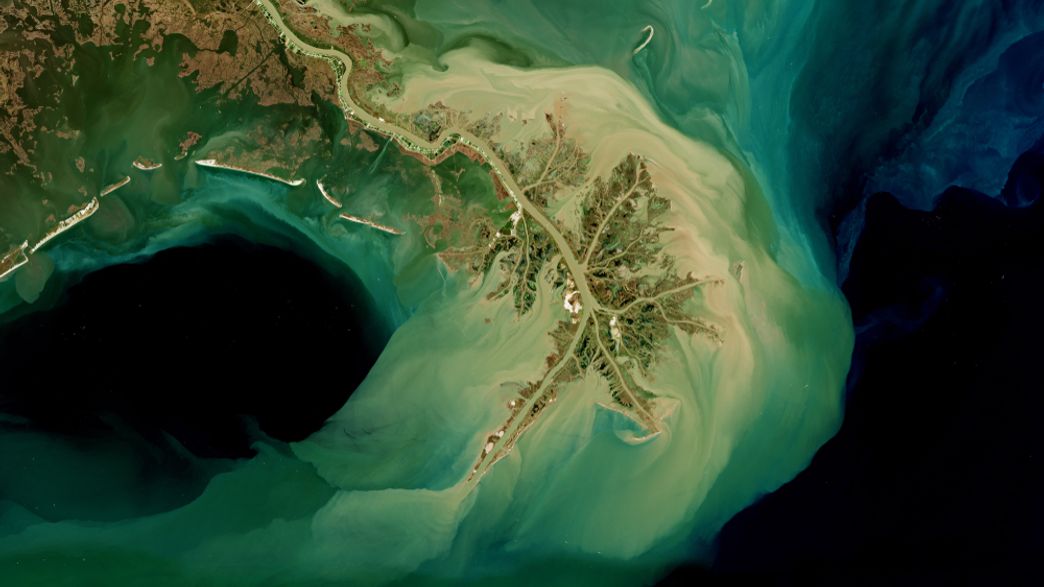 2019 Gulf Of Mexico “Dead Zone” Is The Second Biggest On Record ...