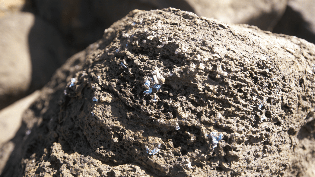 This Is Pictorial Evidence That We Are In The Anthropocene | IFLScience