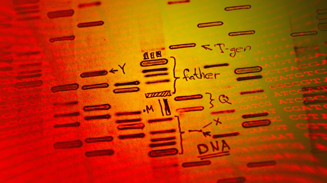 Genetic Data Reveals Rates Of "Extreme Inbreeding" In The UK Population ...