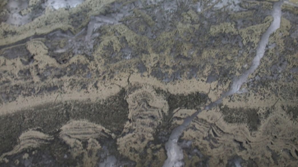 Earliest Signs Of Microbial Life Yet Confirmed In 3.5 Billion-Year-Old ...