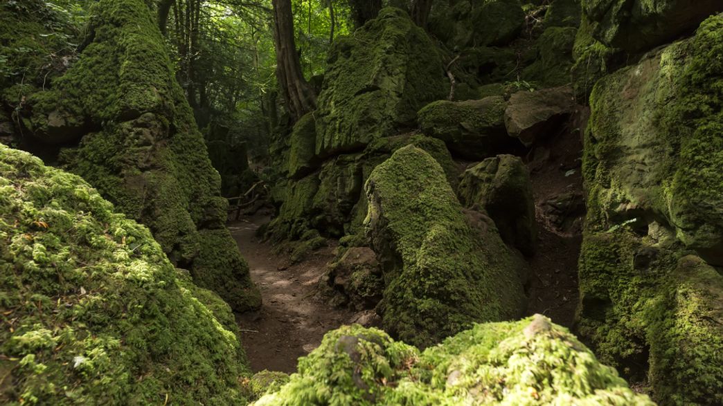 Lasers Reveal Intriguing Bronze Age Monument Hidden In The Forest Of ...
