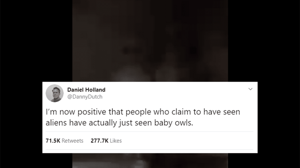 Freaky Video Of Baby Owls May Actually Help Explain Alien Sightings ...