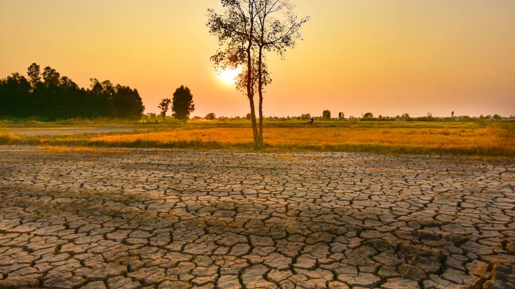 Climate Crisis Forecast To Cost The World $7.9 Trillion By 2050 ...