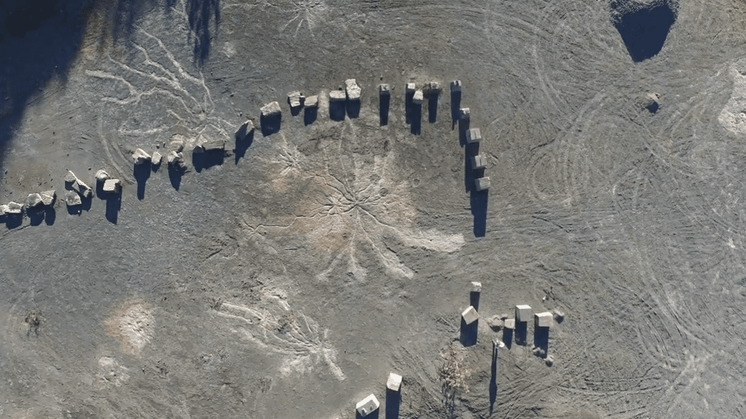 Scientists Unearth World’s Oldest Forest In A New York Quarry | IFLScience