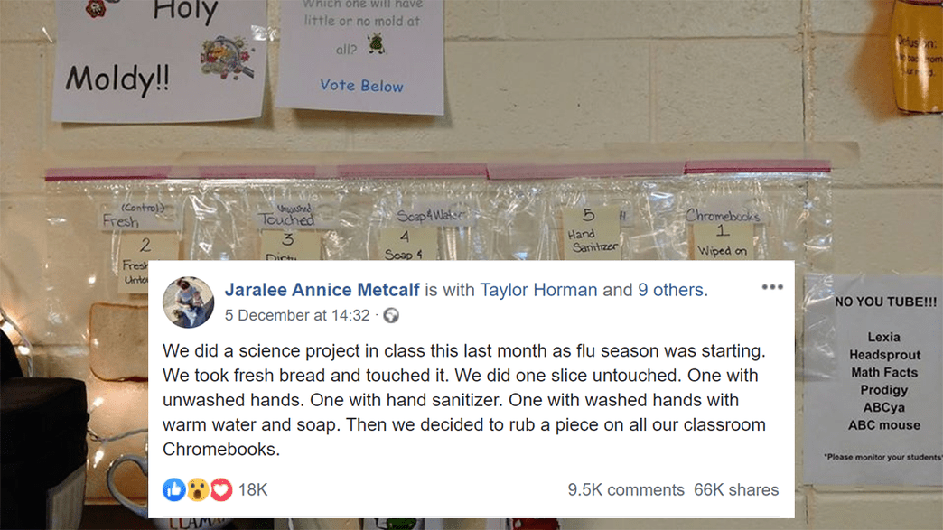 This Educator's Neat (But Absolutely Disgusting) Germ Experiment Has ...