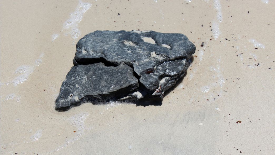 International Team Confirms Where Those Waxy Substances Washed Up On ...