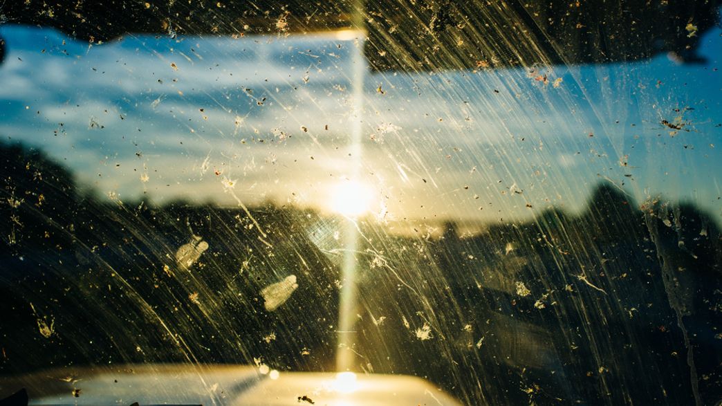 Why Fewer Bugs Are Splattering On Your Car Windshield Nowadays | IFLScience