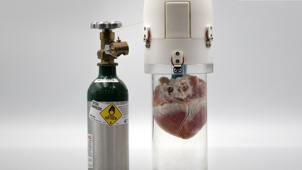 New Device May Extend The Viability Of Hearts Before Transplantation ...