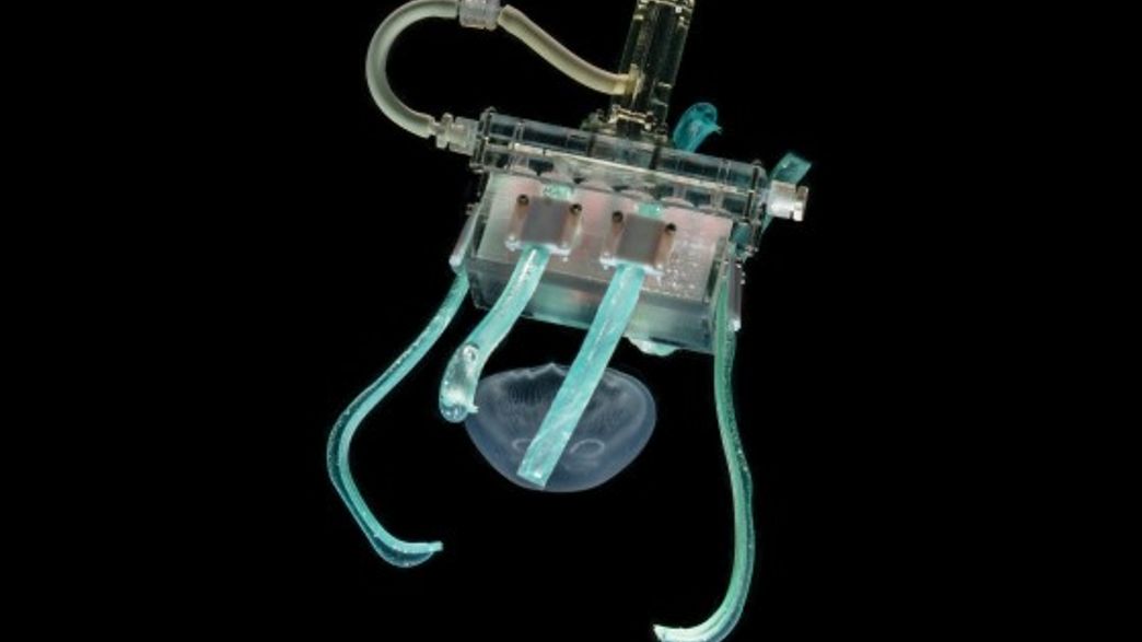 Noodle-Fingered Robot Gently Hugs Deep-Sea Jellyfish (But They're Cool ...