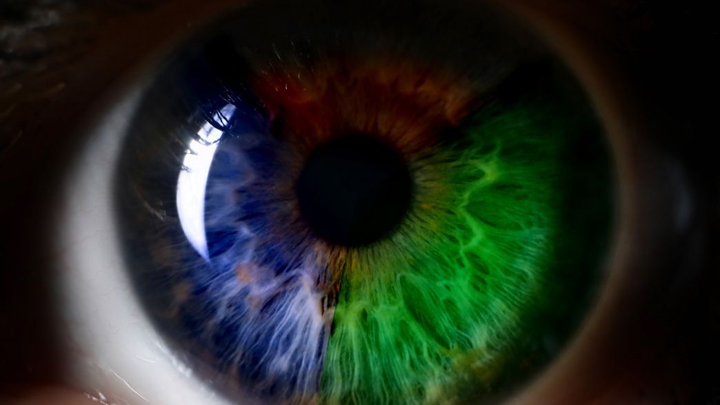 New Contact Lenses Can Help To Correct Red-Green Color Blindness ...