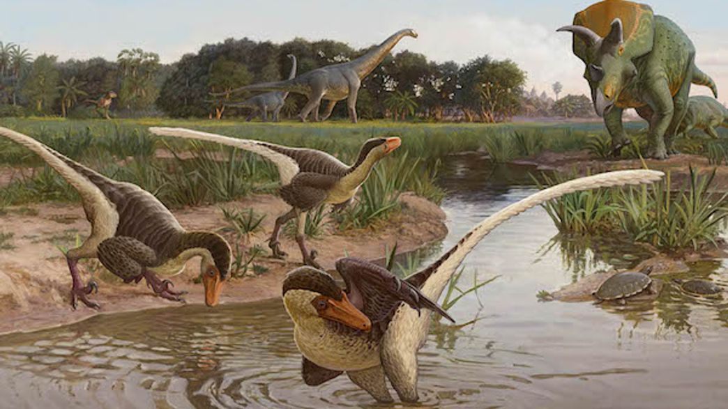 One Of The Last Surviving Raptors Has Been Uncovered In New Mexico ...