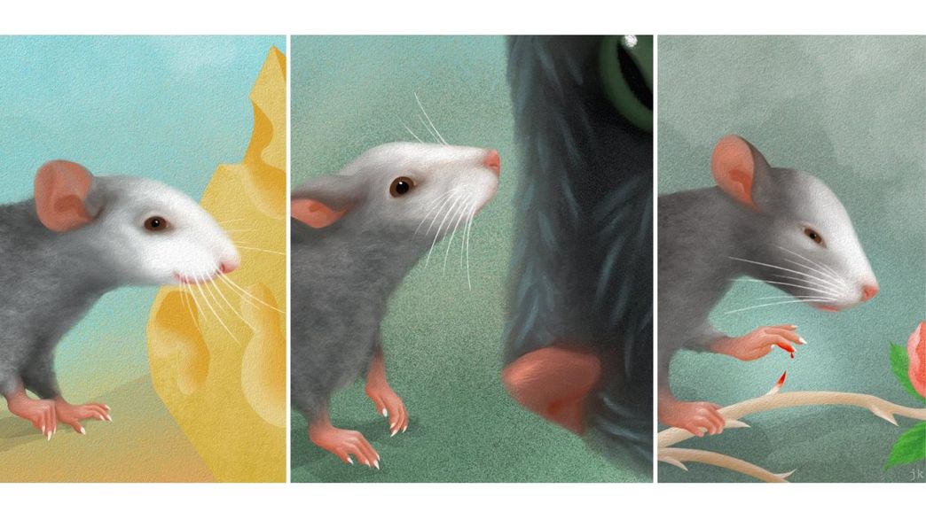 Scientists Are Teaching Computers To Read Mice's Facial Expressions ...