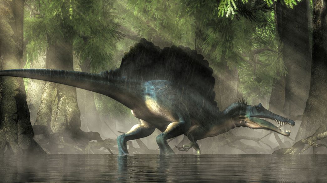 Fossil Tail Suggests Spinosaurus Is The First Known Swimming Dinosaur ...