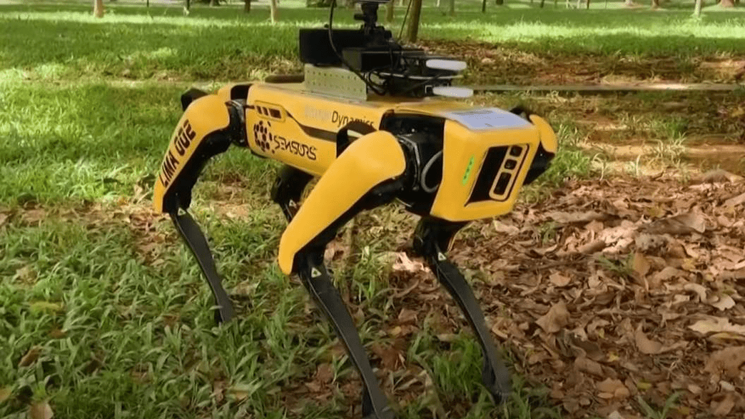 A Robot Dog Is Helping To Enforce Social Distancing In Singapore ...