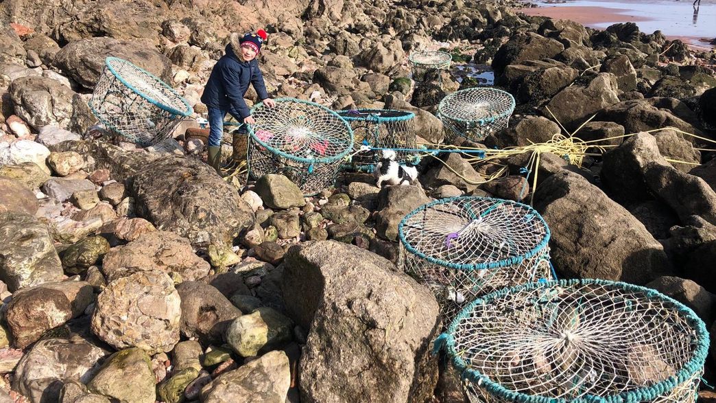 Seaweed Clean-up Could Provide Biofuels And Cleaner Beaches | IFLScience