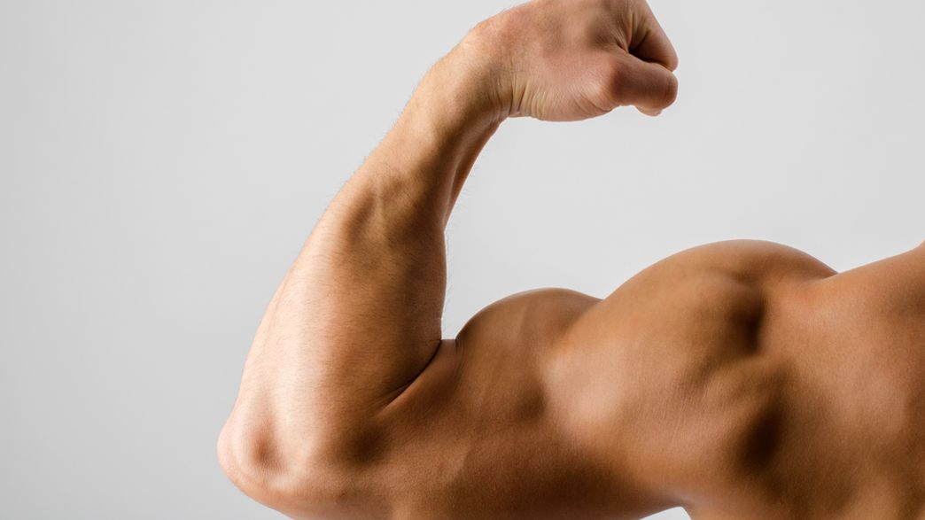 Having More Muscle May Strengthen The Immune System, According To New ...