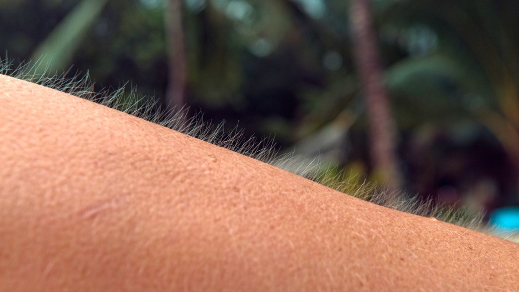 Scientists Have Discovered Another Reason For Goosebumps | IFLScience
