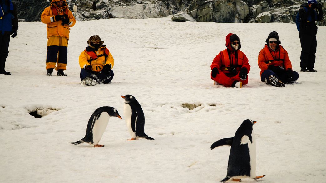 Human Impact In Antarctica Greater Than Previously Thought | IFLScience