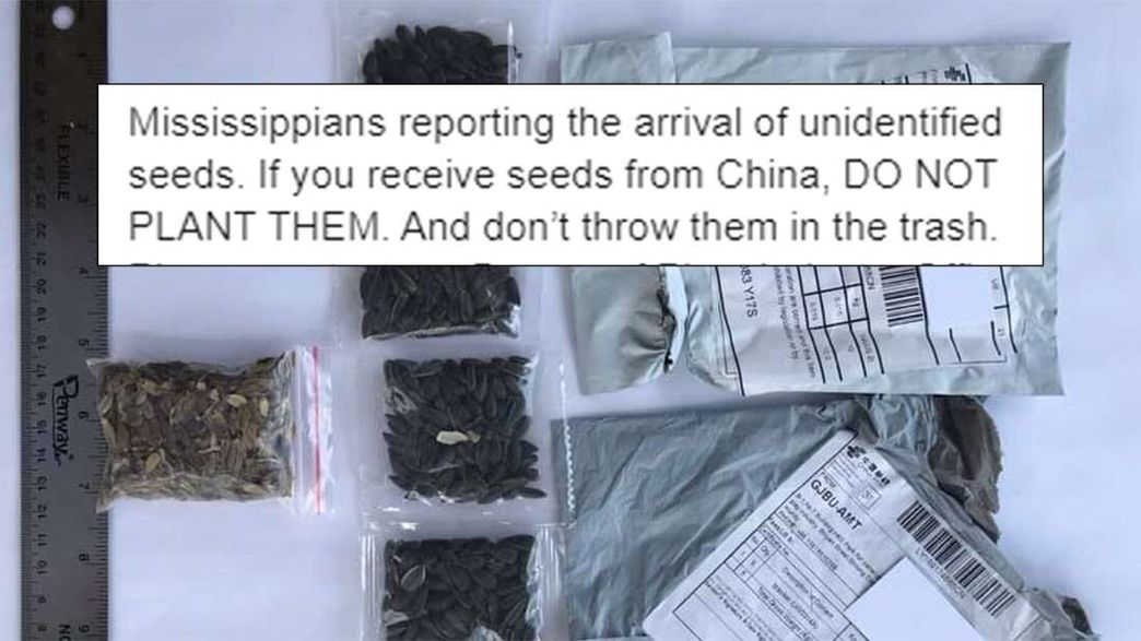 US Authorities Have Identified The Mystery Seeds Sent To Strangers ...