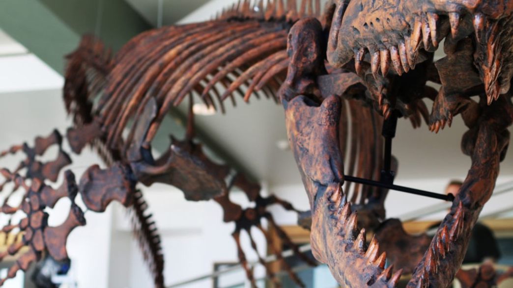 Enormous Ancient "Jaws Of Death" Marine Reptile Described For The First ...