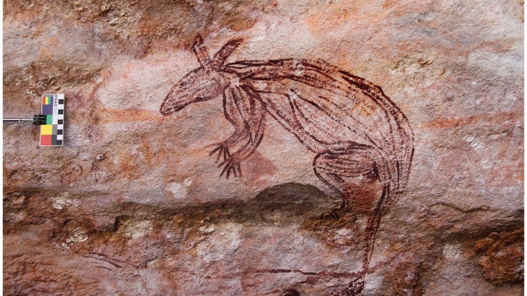 Ancient Australian Rock Art Reveals Rare Bilbies, Dugongs, And Human ...