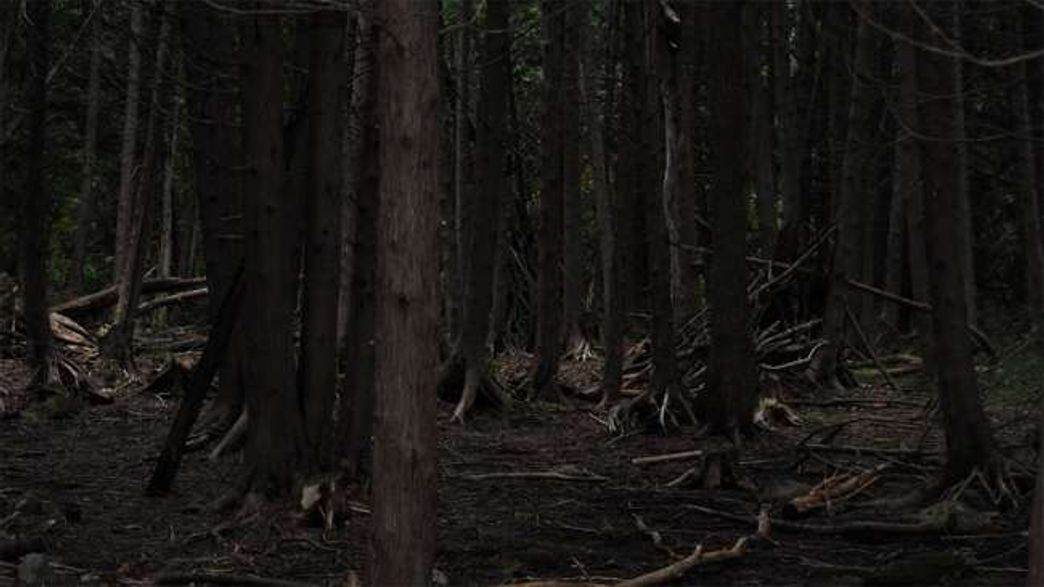 This Is What It's Like At A Body Farm, Where The Dead Are Left To Rot ...