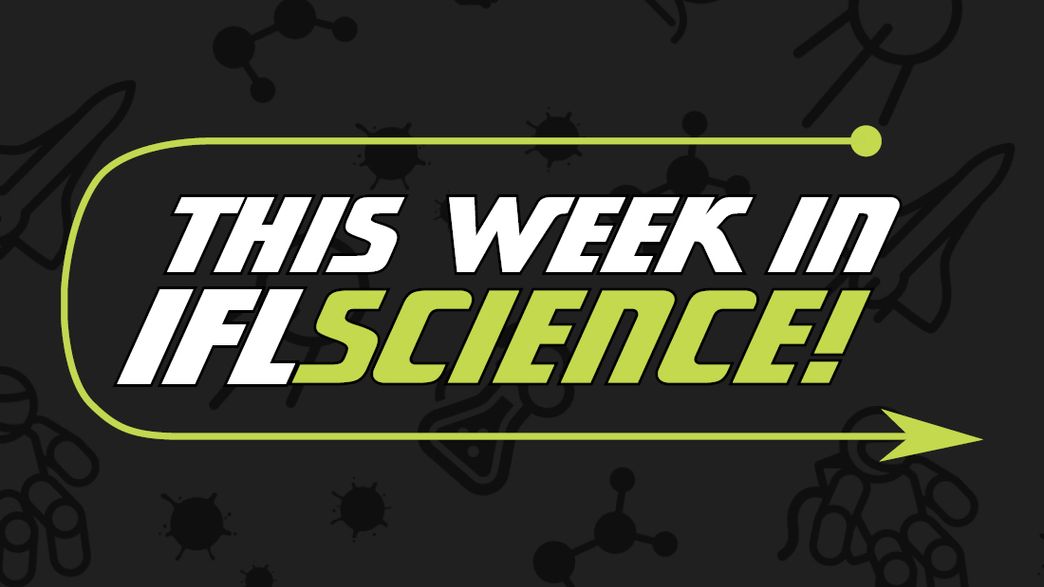 This Week In IFLScience - 12th October | IFLScience