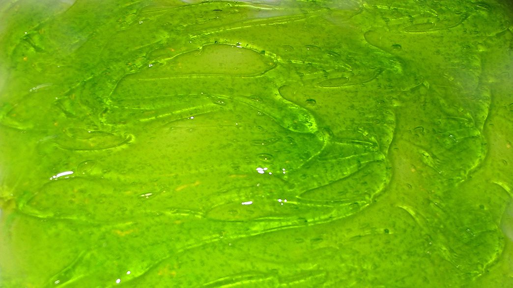 There Is No Need To Worry About The Ominous Green Glowing "Goo" Coming ...