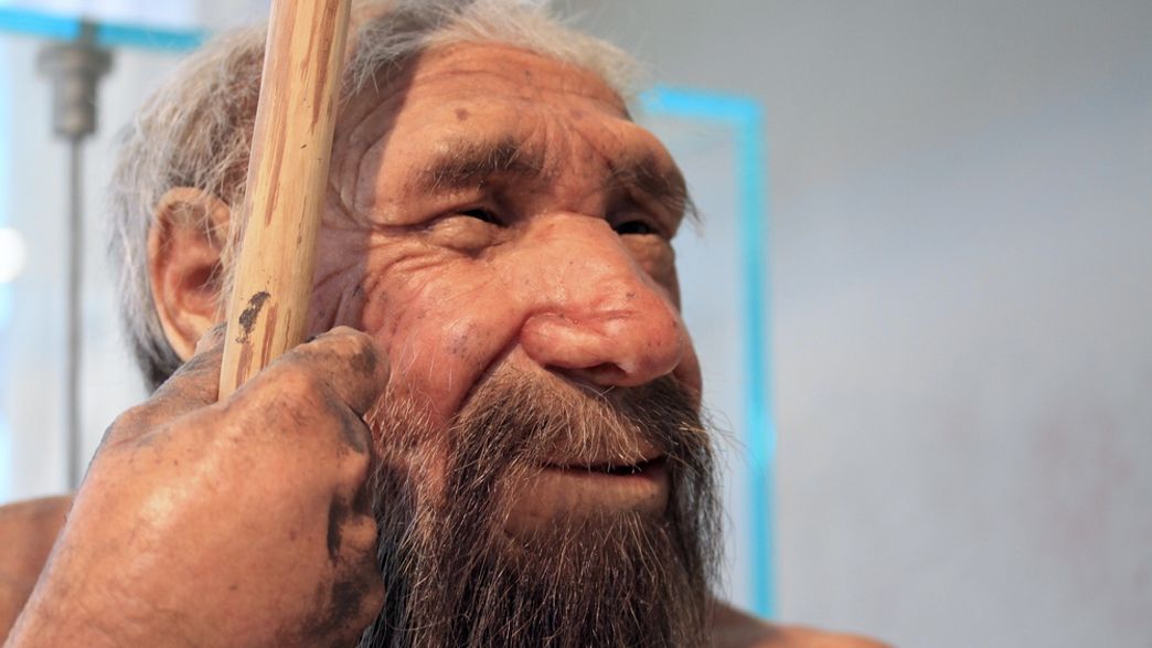 Neanderthal DNA Linked To Cancer And Autoimmune Diseases In Modern ...