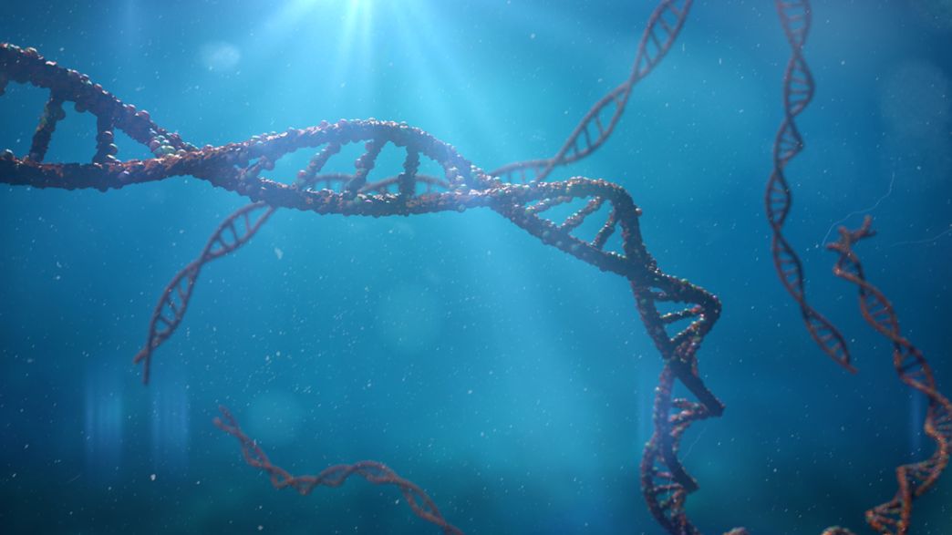 New Evidence Supports Theory That Life On Earth Originated As RNA-DNA ...