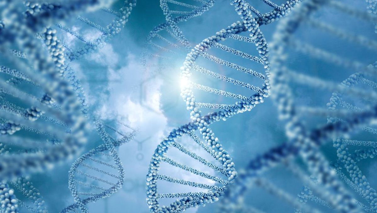 Rare Four-Stranded DNA Has Been Observed In Human Cells | IFLScience