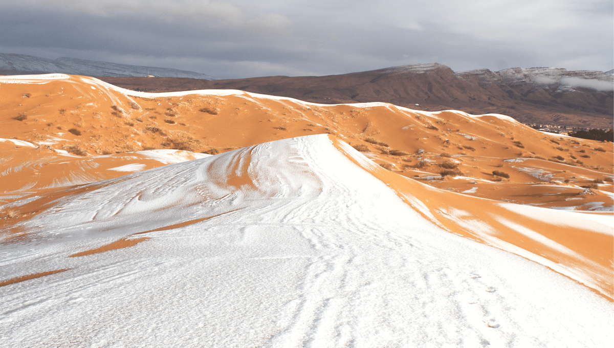 Ice Sparkles On The Sahara For Only The Fourth Time In 42 Years ...
