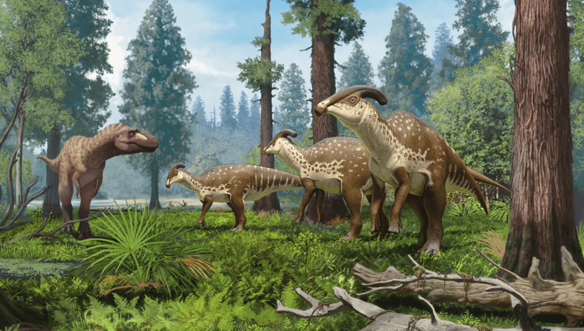 “Exquisite” New Parasaurolophus Skull Reveals Secrets Of Its Funky Tube ...