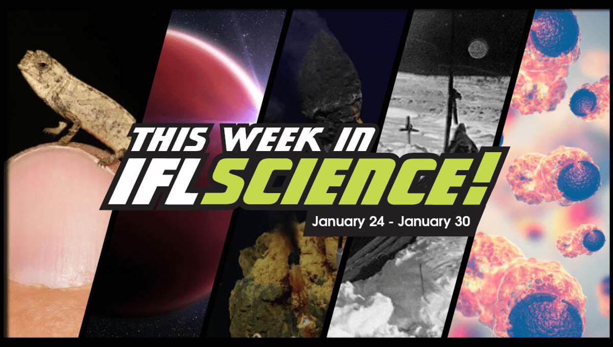 This Week In IFLScience! | IFLScience
