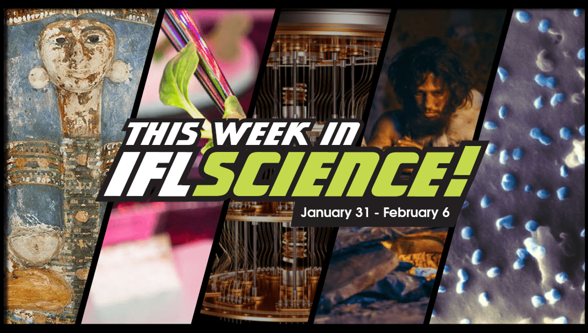 This Week In IFLScience! | IFLScience