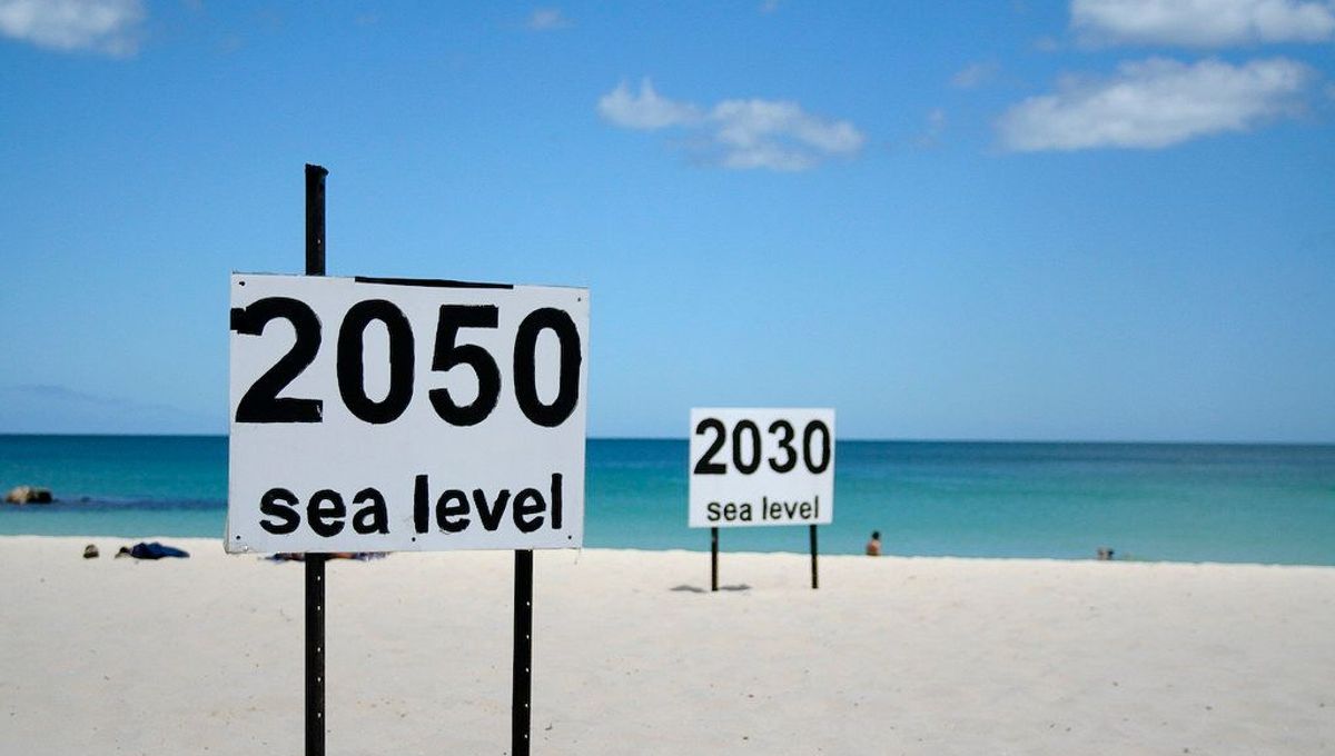 Sea Level Projections Have Been Proven Right And That's Not Good News ...